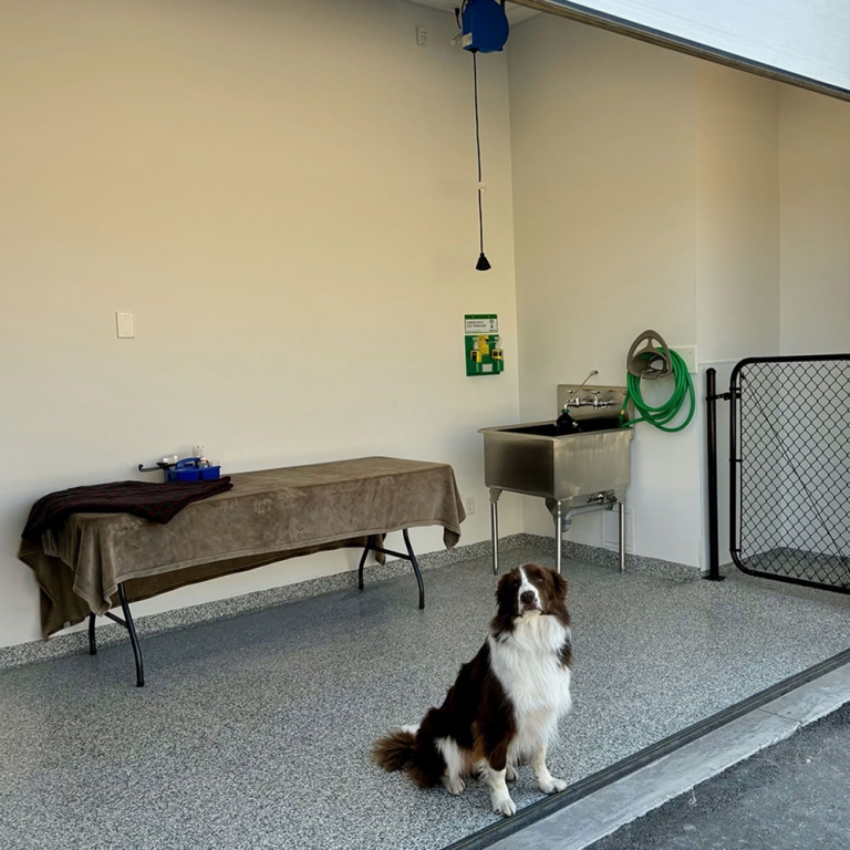 Clinic Tour - Red Tree Animal Clinic