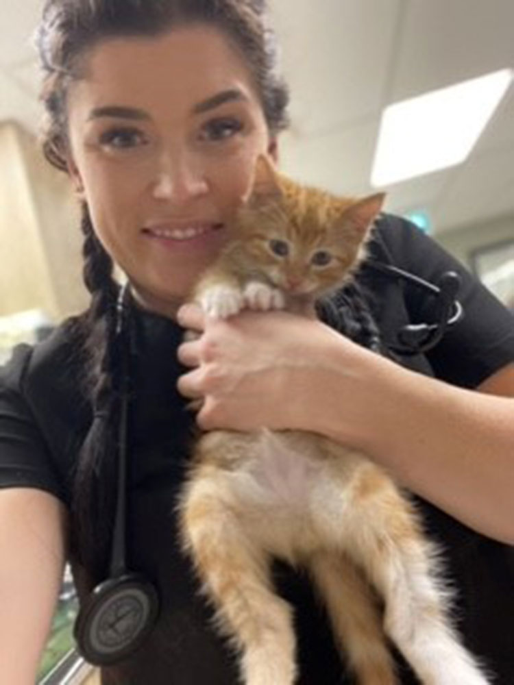 Meet The Team - Red Tree Animal Clinic